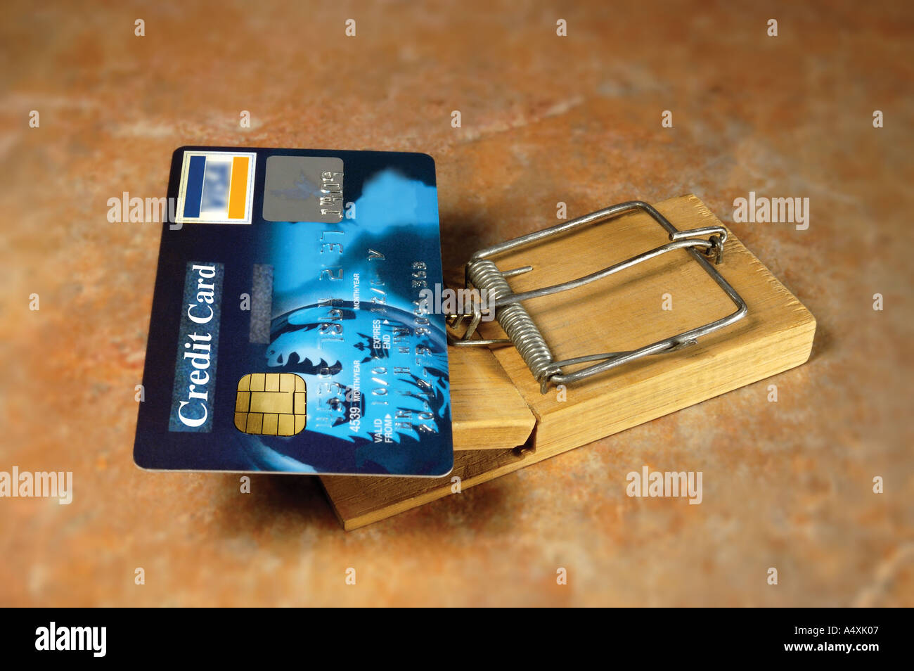 Consume a mouse hi-res stock photography and images - Alamy