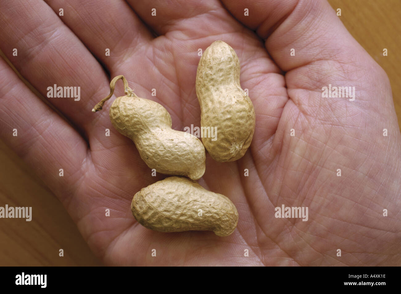 Paltry amount hi-res stock photography and images - Alamy