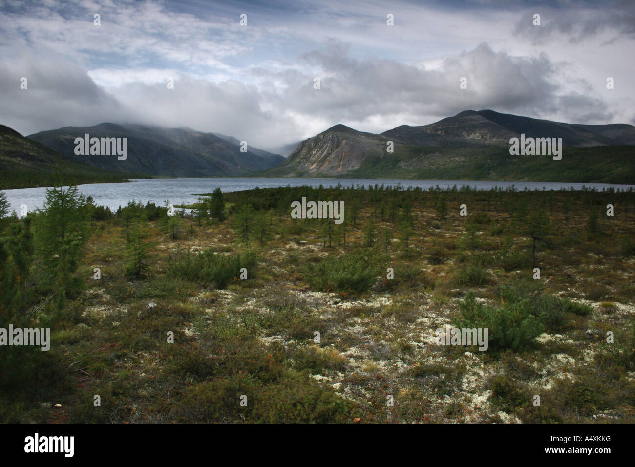 National park "Jack London's lake", Magadan area, Eastern Siberia ...