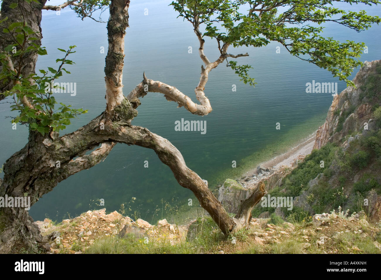 Bay Svetlaya, Sea of Okhotsk, Magadan area, Eastern Siberia, Russia ...