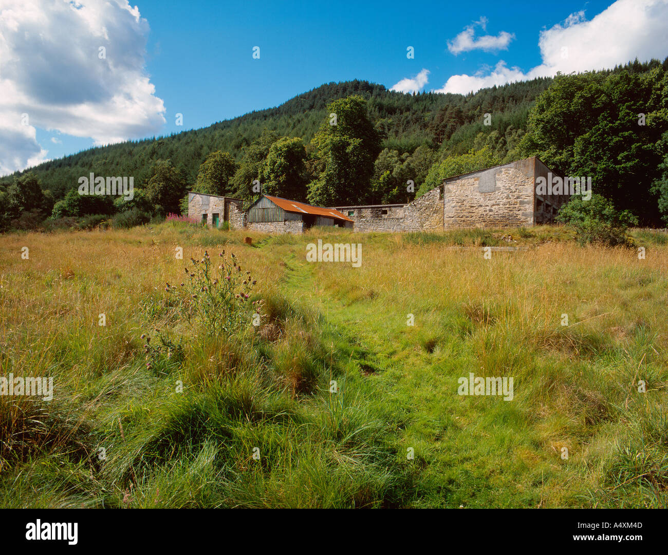 Farm steading hi-res stock photography and images - Alamy