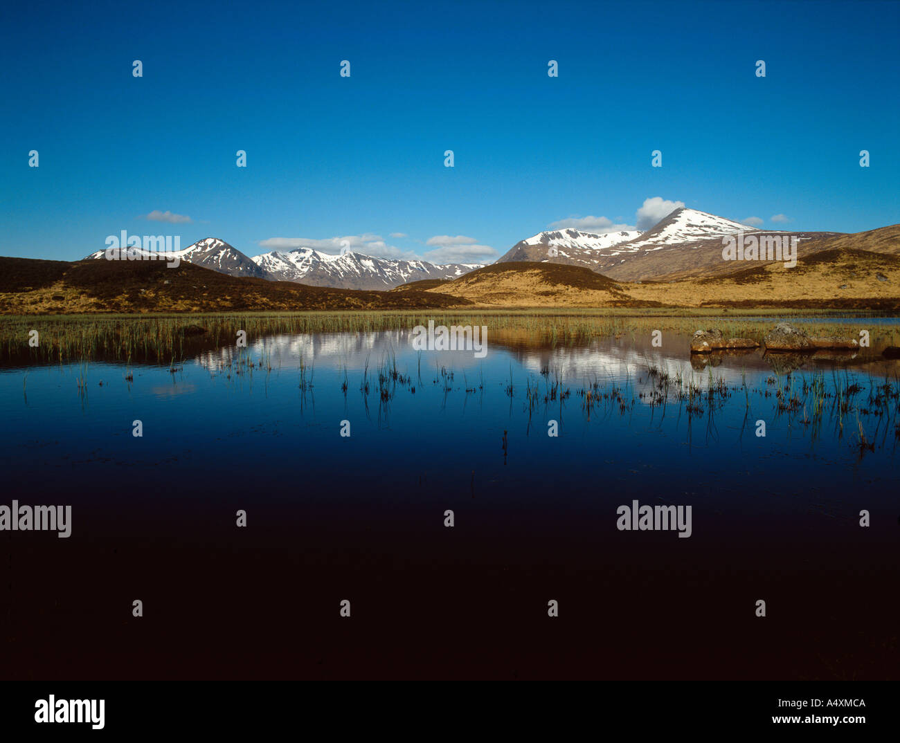 Blackmount mountain range hi-res stock photography and images - Alamy