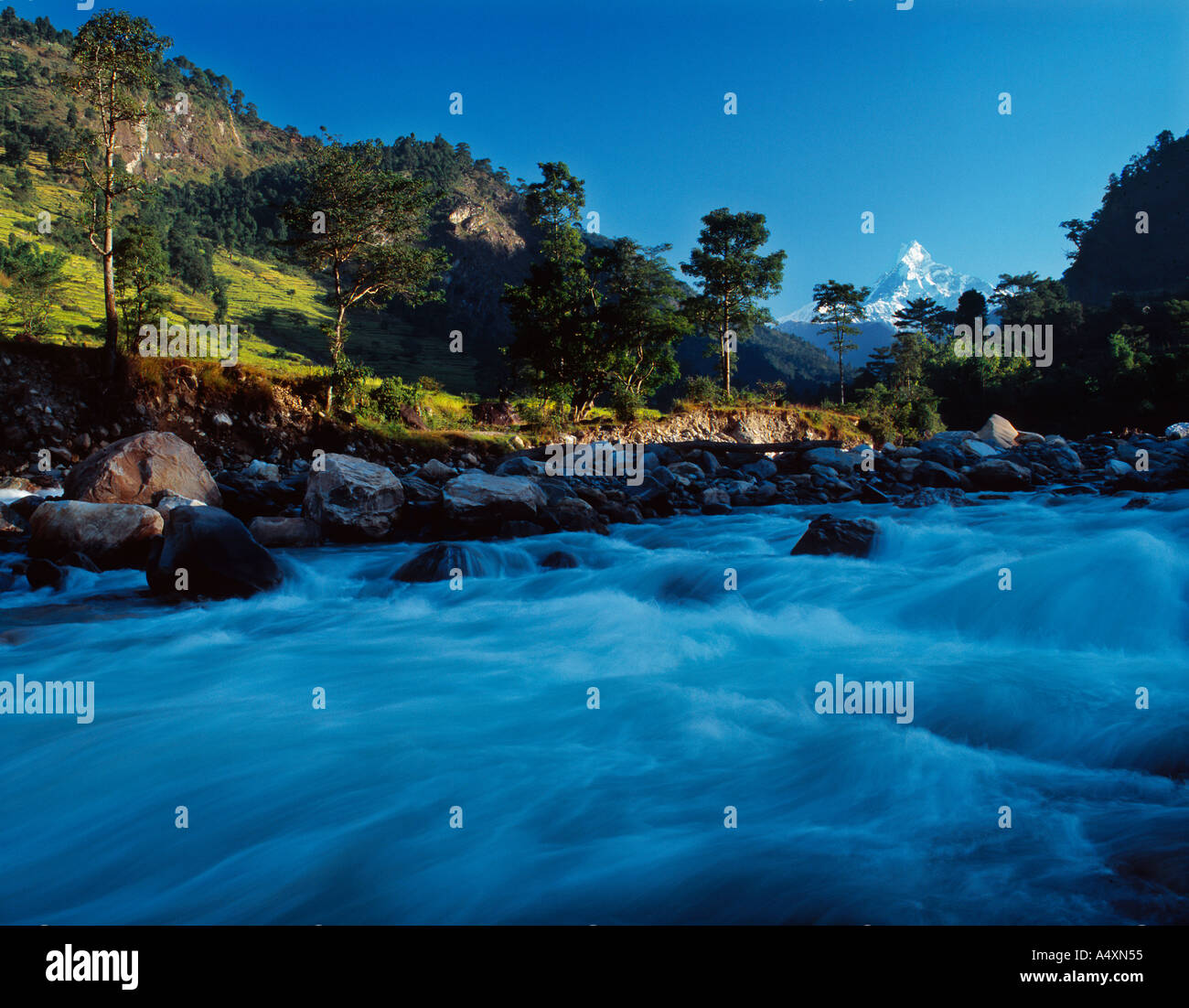 Strong flow clean mountain river hi-res stock photography and images ...