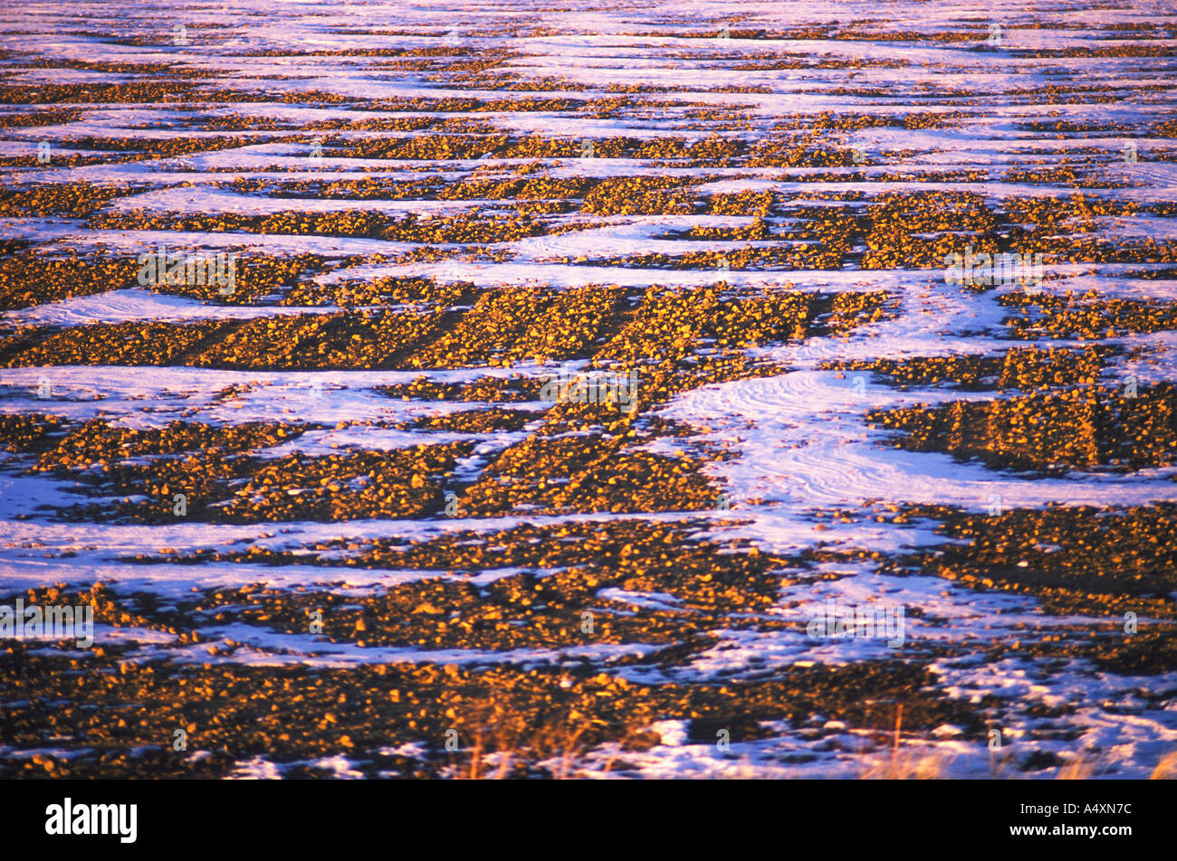 Empty dirt field tilled hi-res stock photography and images - Alamy