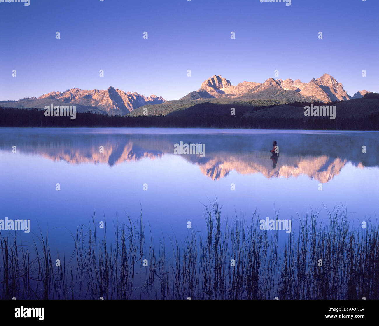 Fly fishing on Little Redfish Lake Sawtooth Mountains Sawtooth National ...