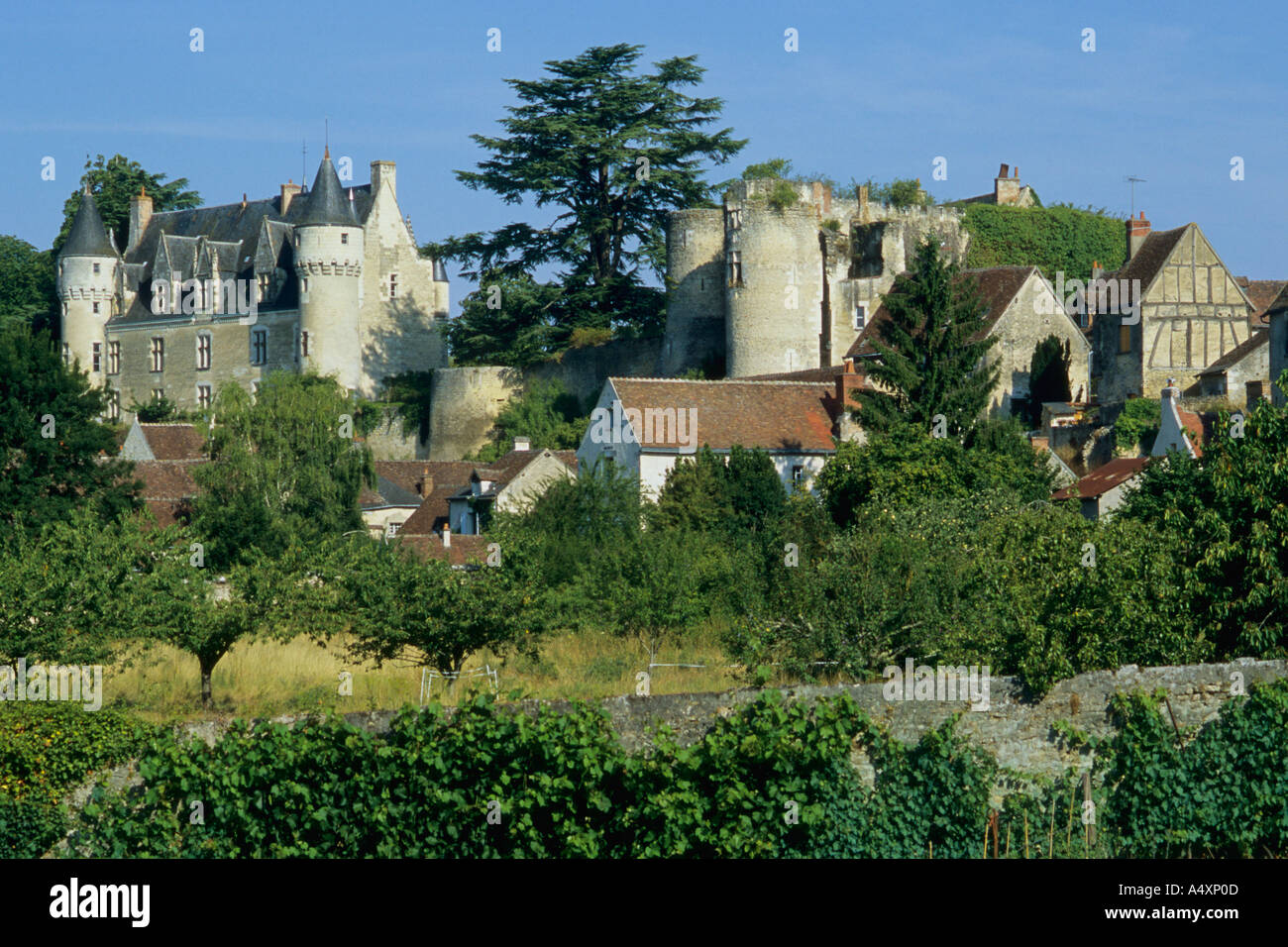 France montresor chateau hi-res stock photography and images - Alamy