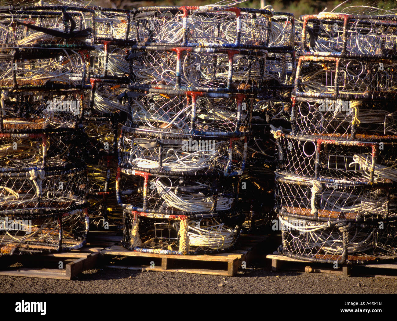 Crab pots used in the commercial Pacific Northwest seafood industry ...