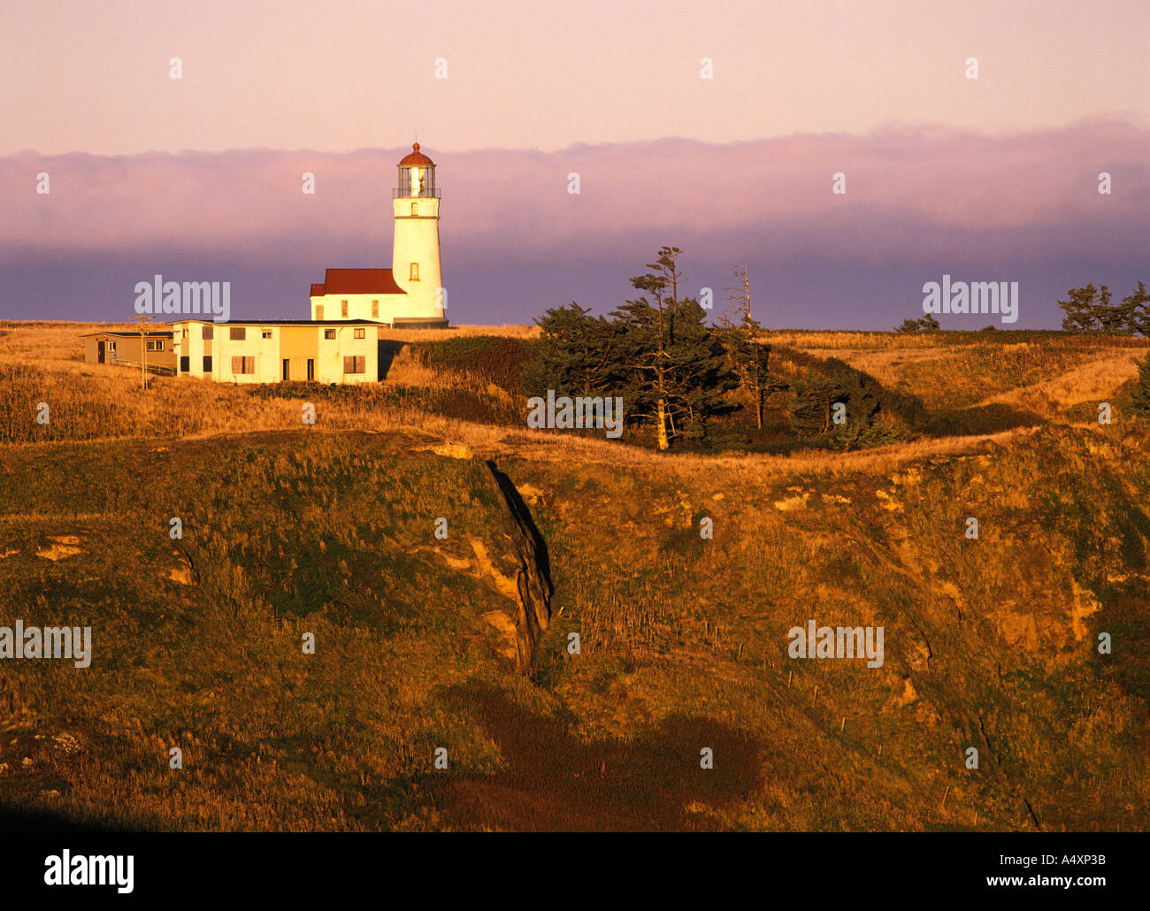 Cape Blanco Lighthouse in early morning light Cape Blanco State Park on ...