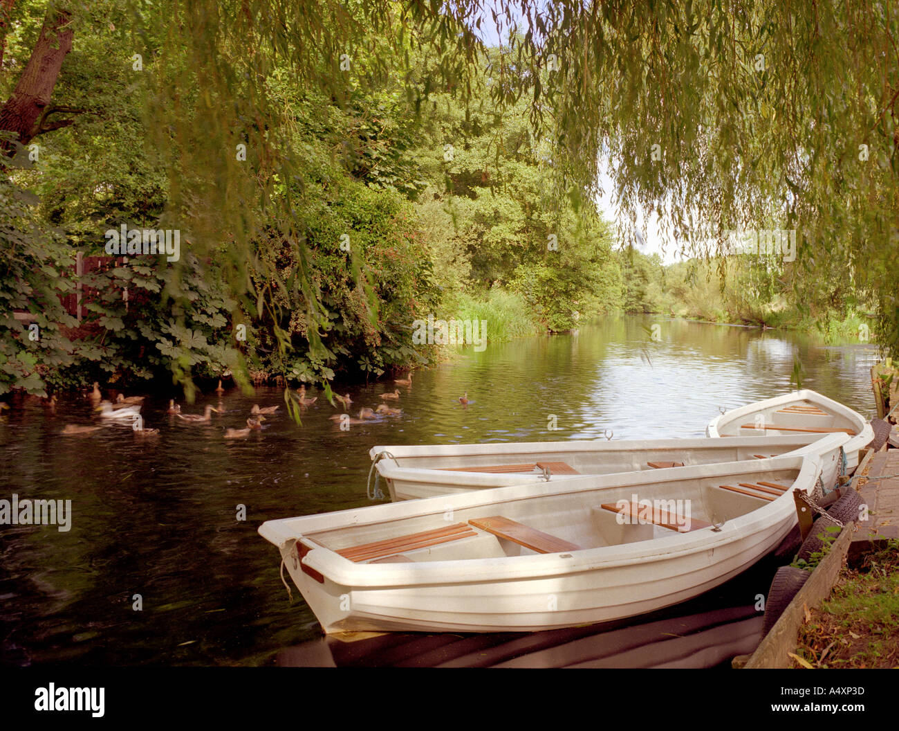 The River Little Ouse at Brandon Suffolk England UK Stock Photo - Alamy