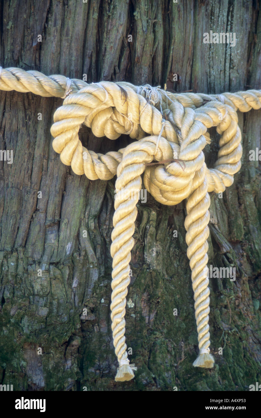 Japan sacred cord Stock Photo - Alamy