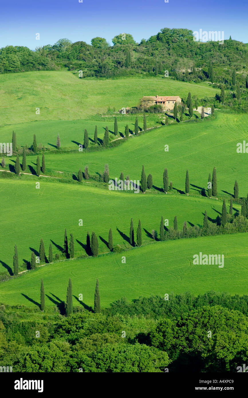 Road winding through the rolling green hills of Tuscany in Italy Europe ...