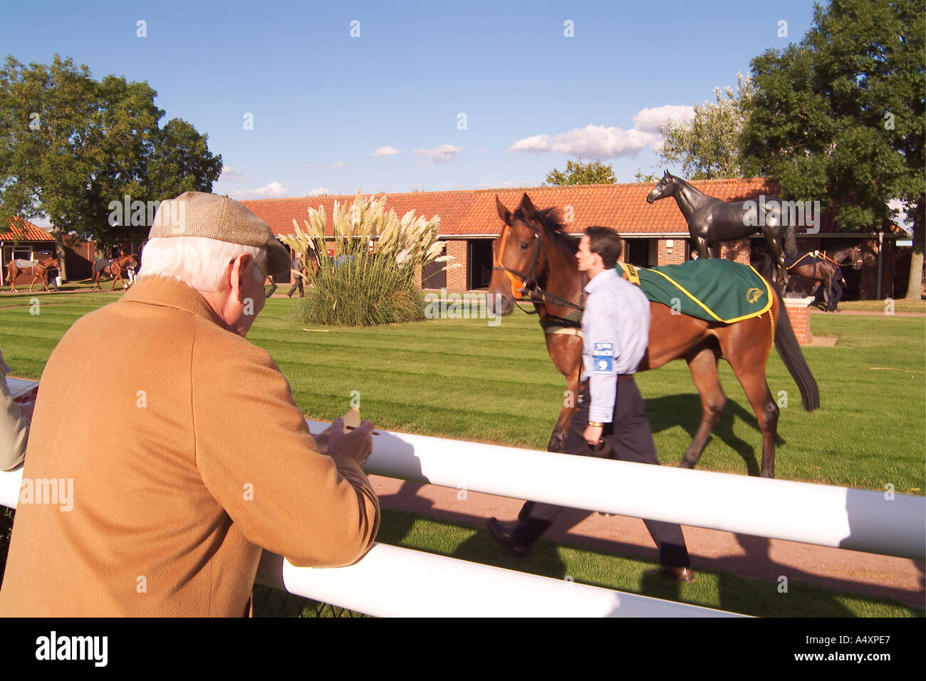 Parade Ring at Rowley Mile Racecourse Newmarket Suffolk England UK ...