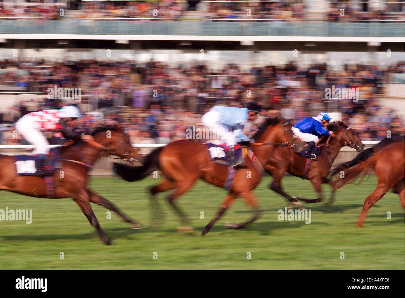 Horses racing at the Rowley Mile Racecourse Newmarket Suffolk Stock ...