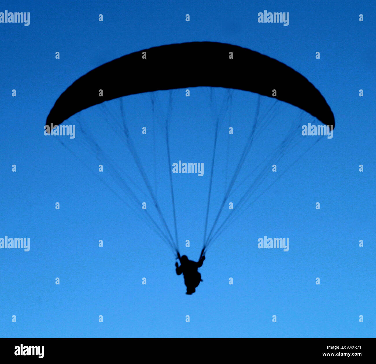 Parachutist / parasender / parasailer / parachute / paraglider ...