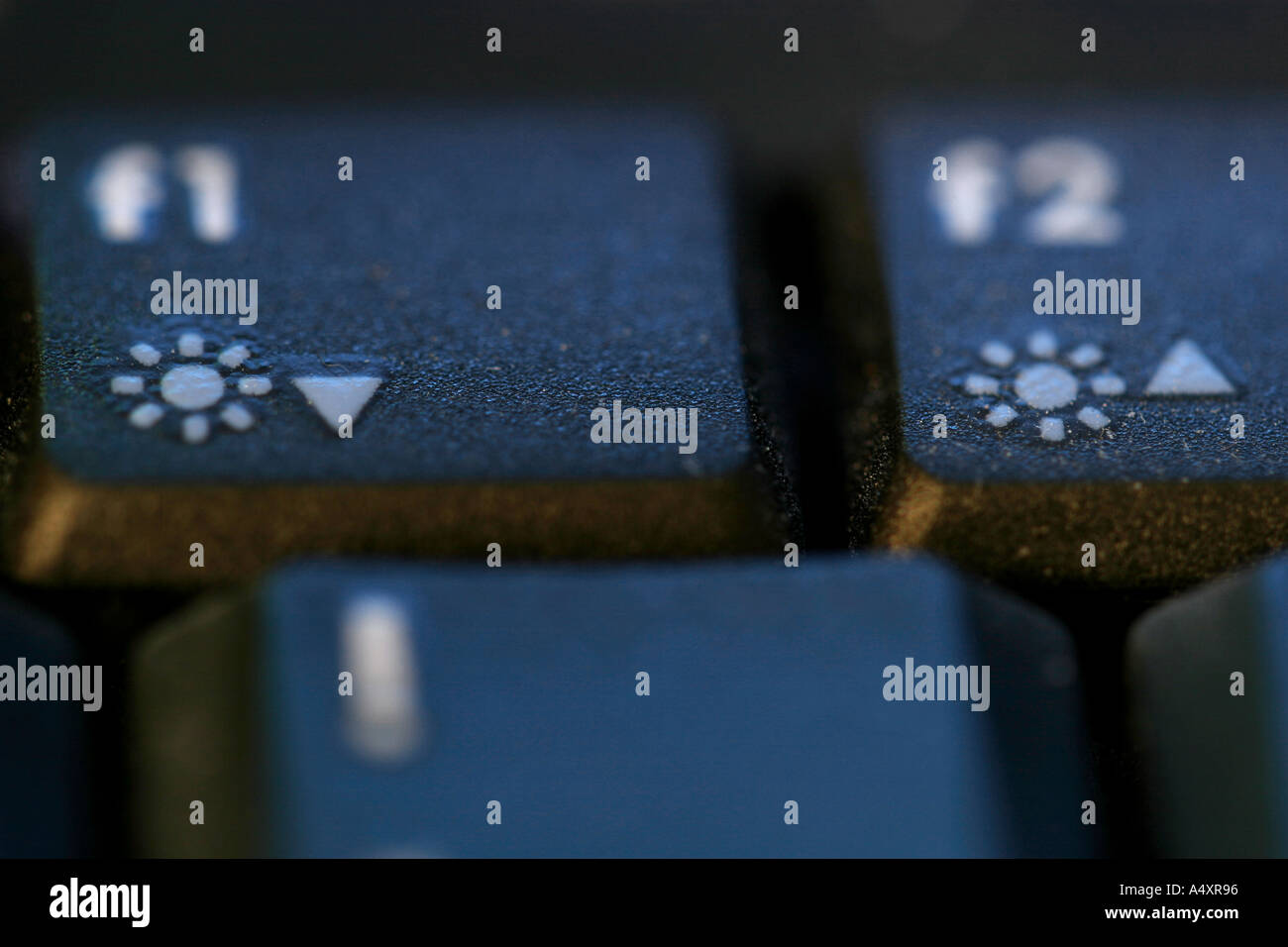 Partial shot of computer keyboard showing brightness, f1 and f2 keys ...