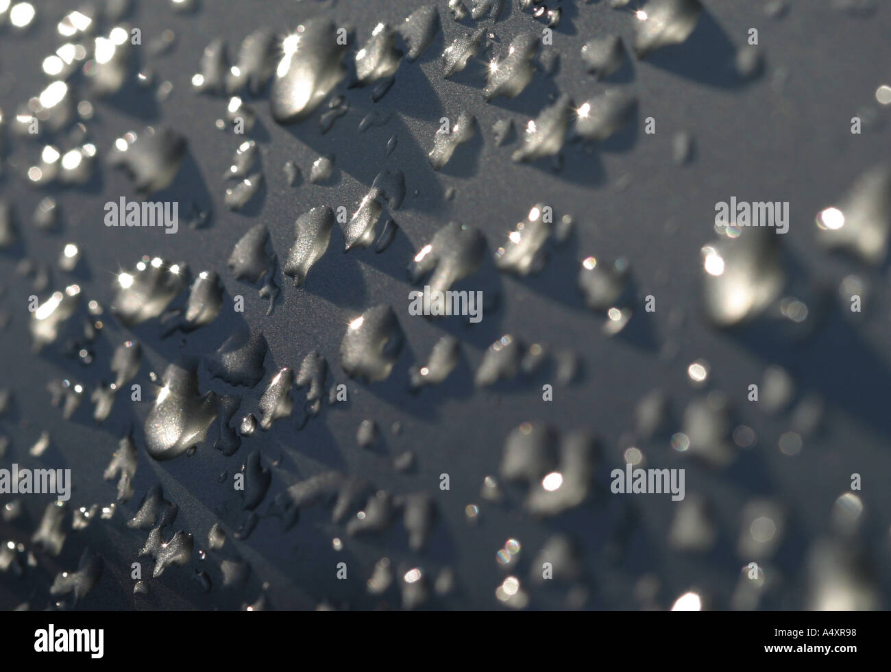 Water Droplets on metallic silver Stock Photo - Alamy