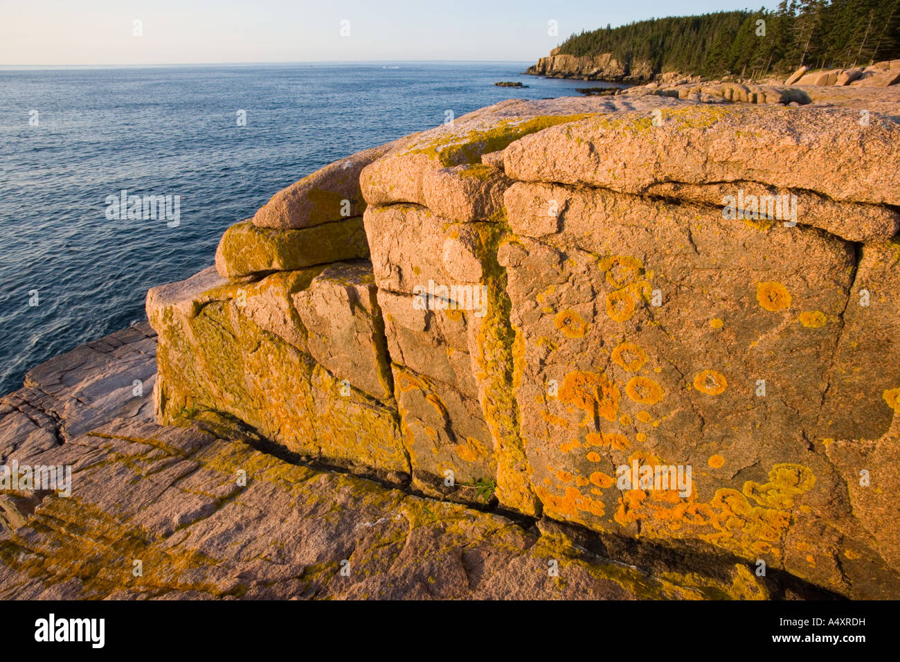 Granite rock on beach maine hi-res stock photography and images - Alamy