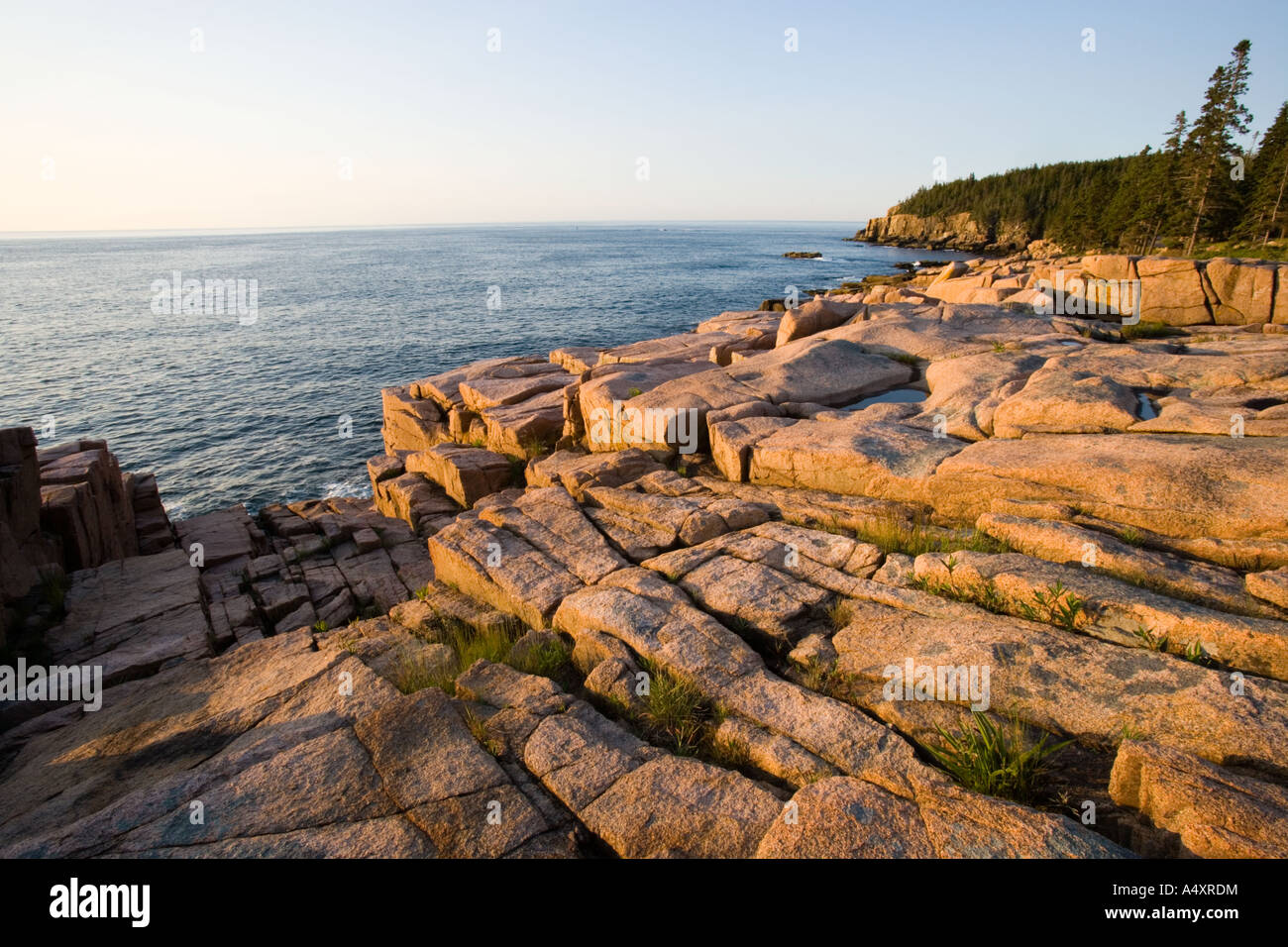 Early morning on the pink granite ledges of the rocky coast of Maine ...