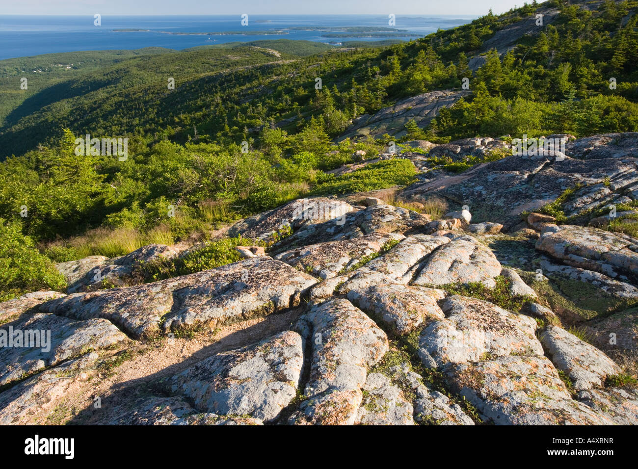 Glacial striations on Cadillac Mountain in Maine USA Stock Photo - Alamy