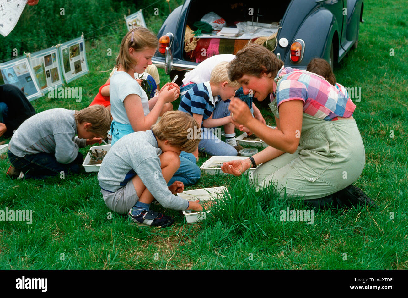 Children investigating pond life with Watch leader Glos UK Stock Photo ...