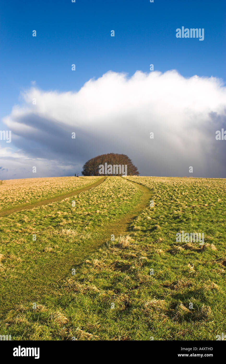 Win green hill, hi-res stock photography and images - Alamy