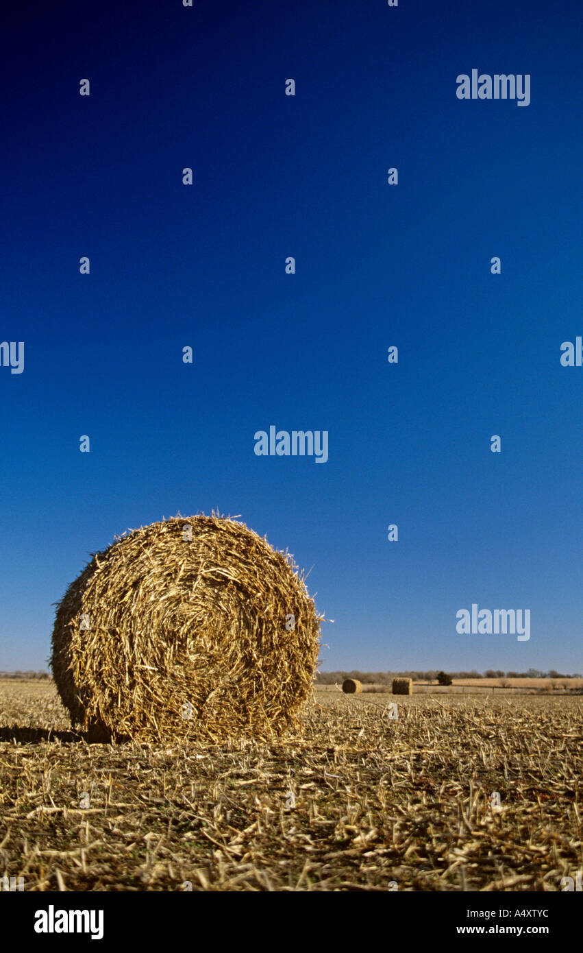 Big hay roll in hi-res stock photography and images - Alamy