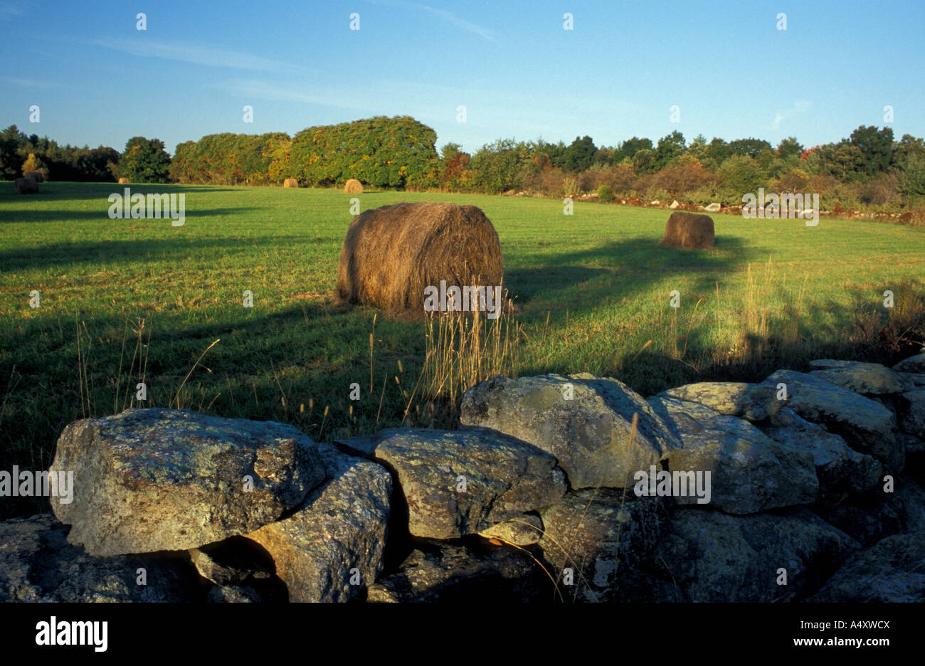Bolton MA USA Hay bales and a stone wall in a field on the Schartner ...