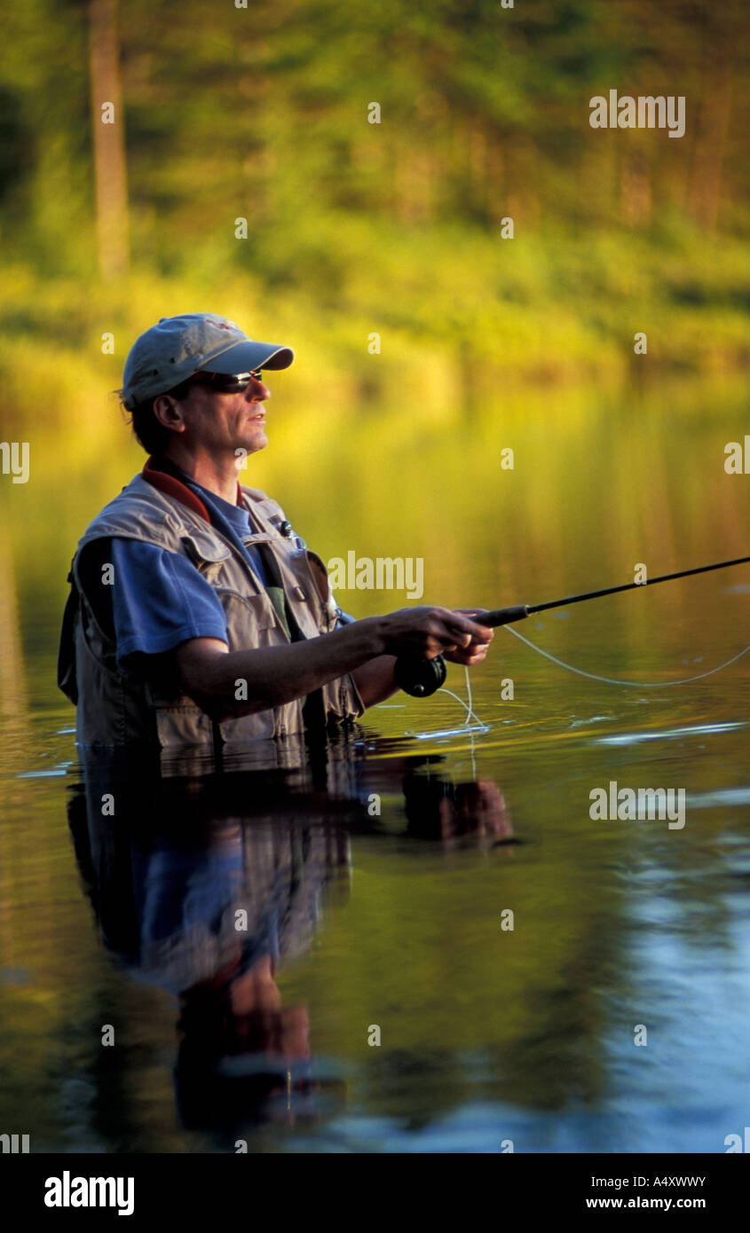 Ponds in the middle of the forest hi-res stock photography and images ...