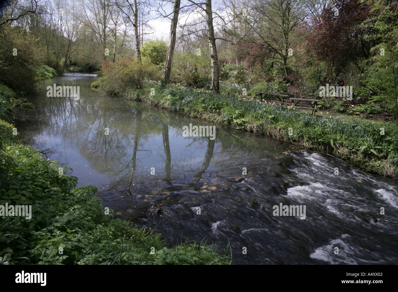 The River Garden at Abbey House in Malmesbury Stock Photo - Alamy
