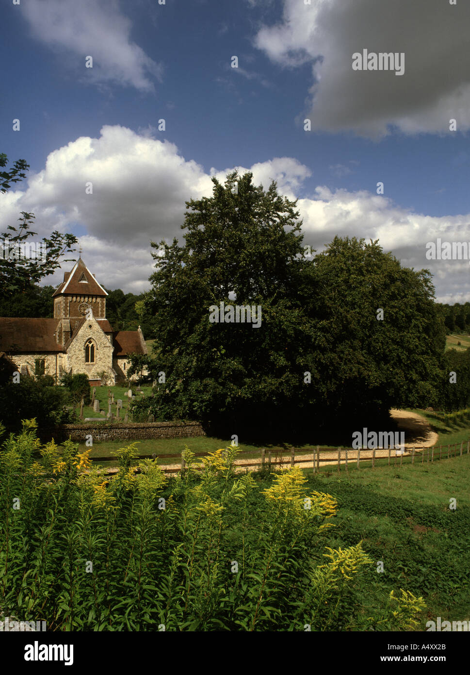 Late summer outside the village church at Seale near Farnham Surrey ...
