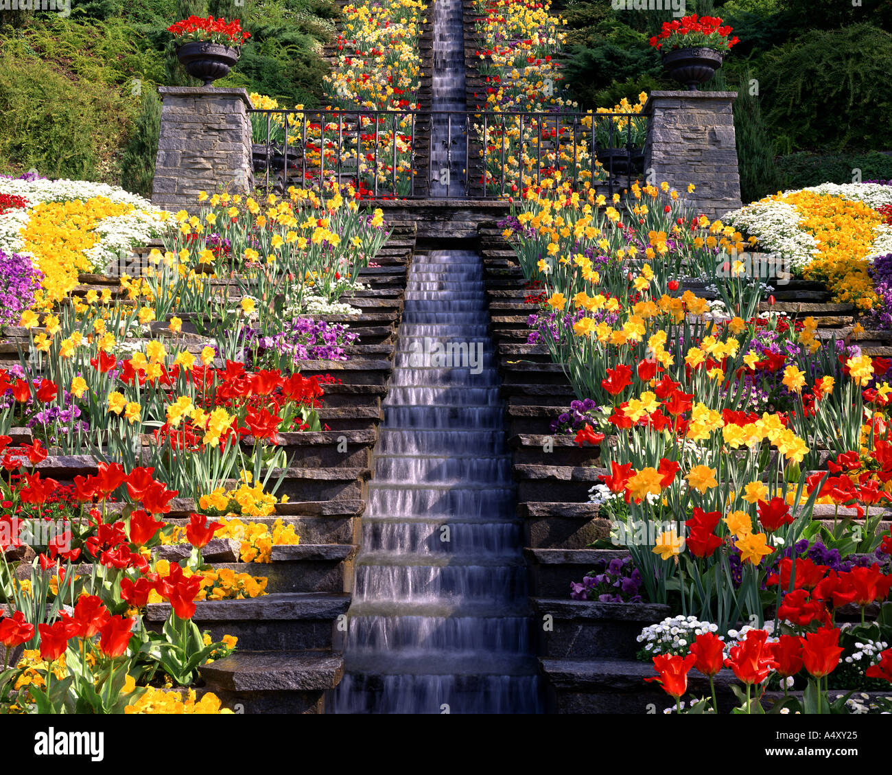 Insel mainau konstanz hi-res stock photography and images - Alamy