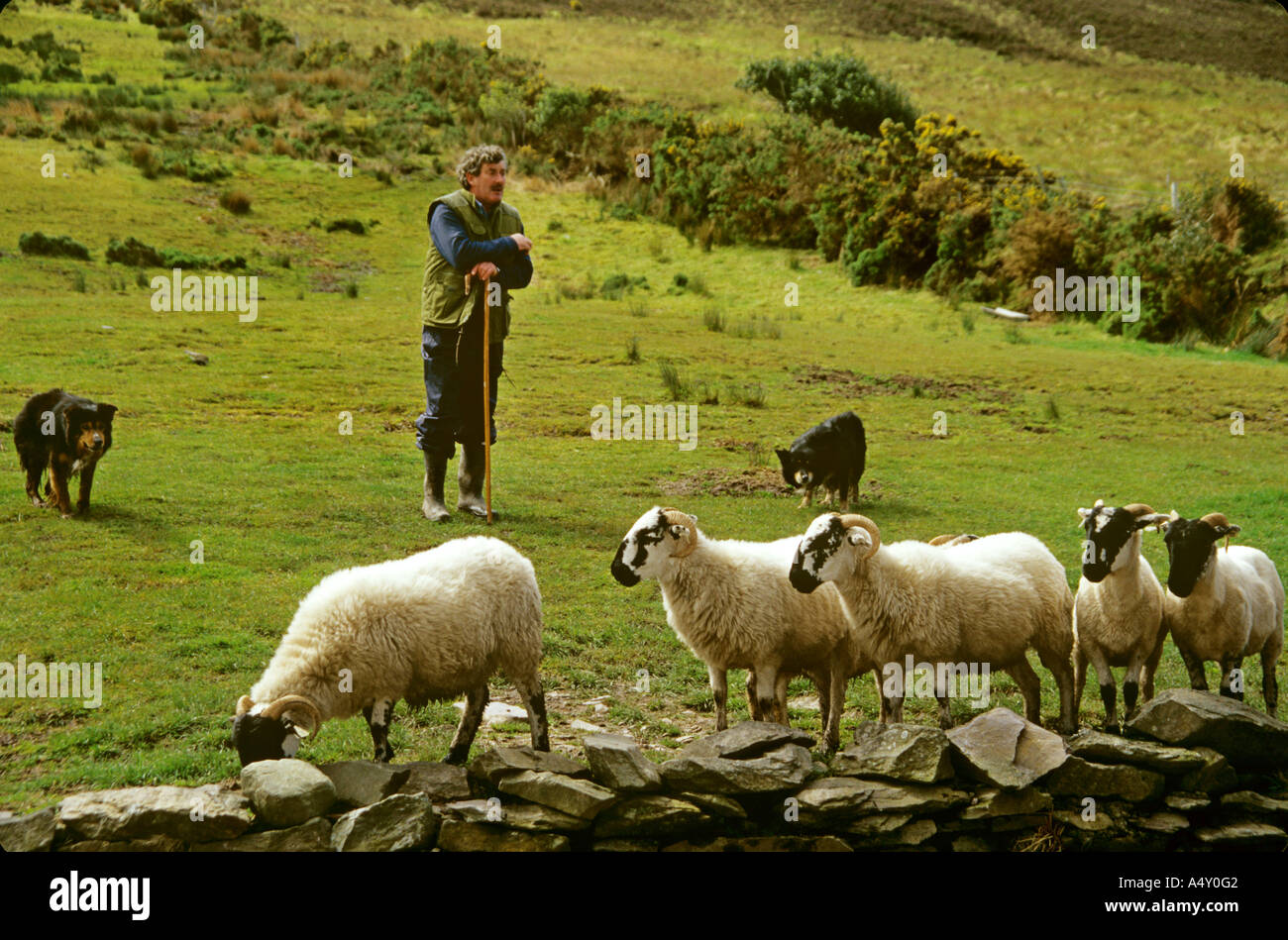 Sheepherder hi-res stock photography and images - Alamy