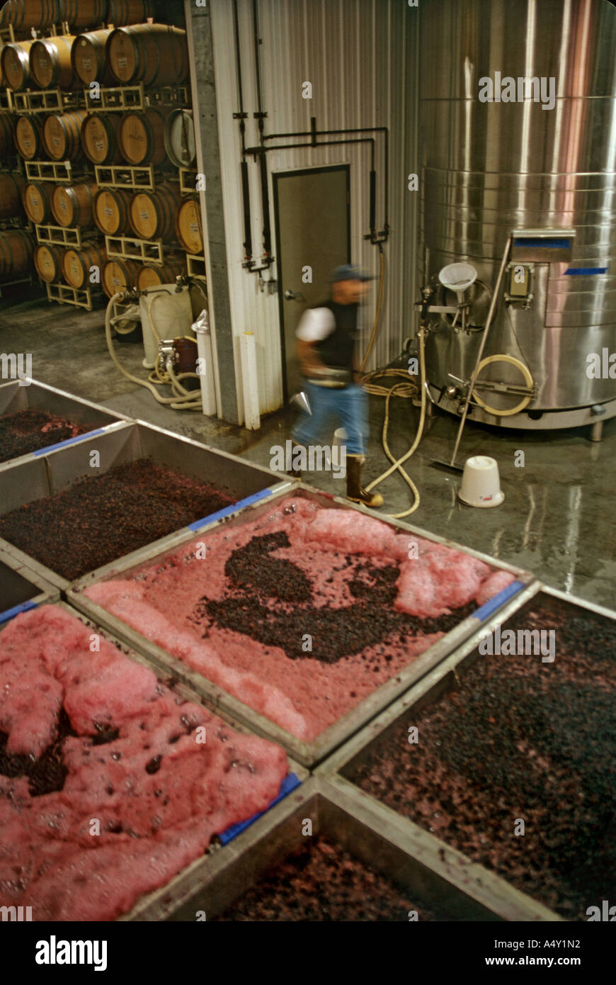Grapes vats hi-res stock photography and images - Alamy