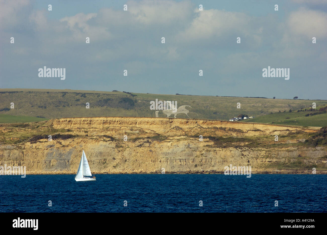 The coast and chalk hillside White Horse near Redcliff Point Osmington ...