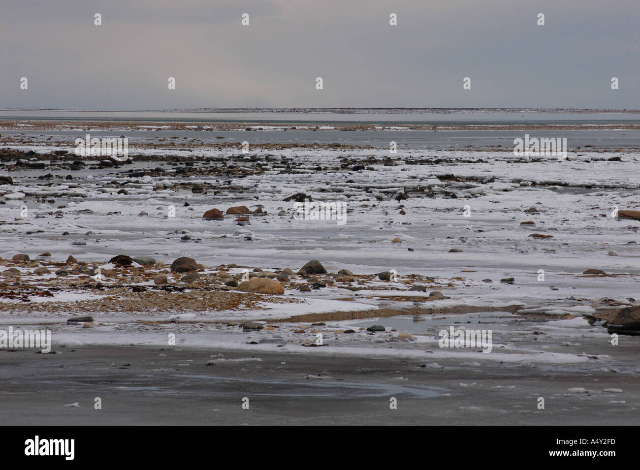 Aerial views of the tidal planes tundra or taiga ecosystem Hudson Bay ...