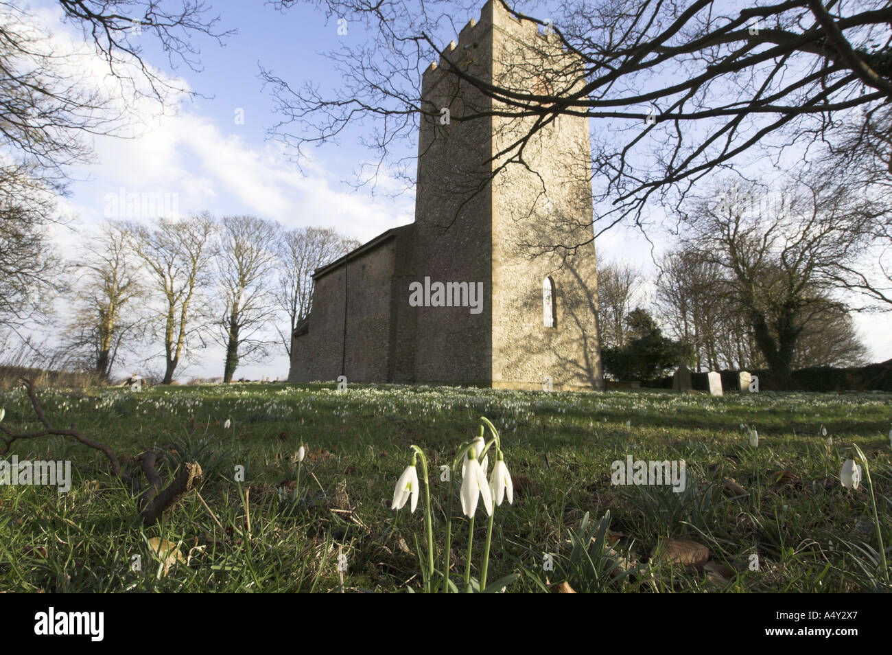Graveyard gravestone snowdrops hi-res stock photography and images - Alamy
