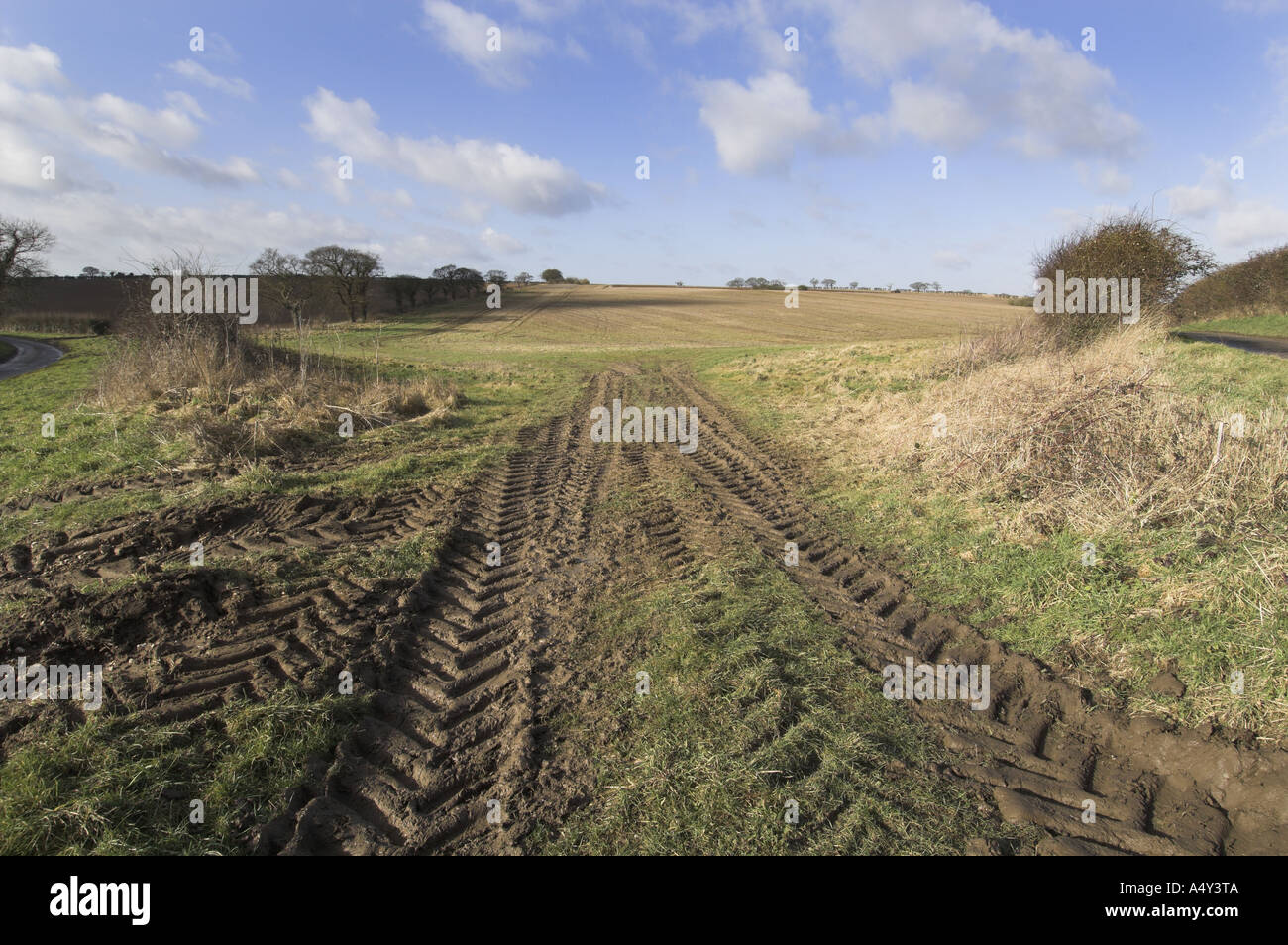 Muddy field gateway leading to a field in a typical rural farming ...