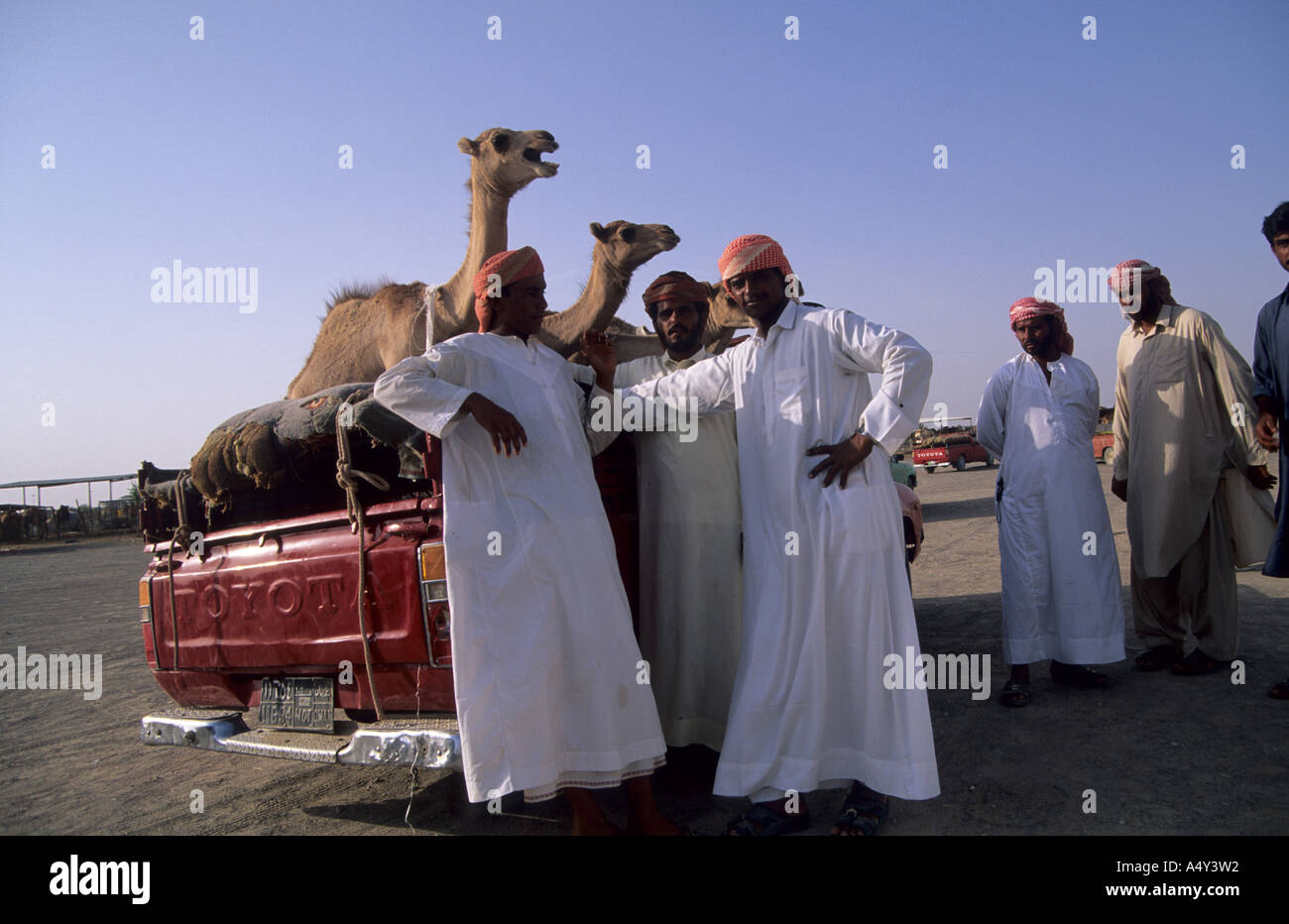 Camel market of al ain hi-res stock photography and images - Alamy