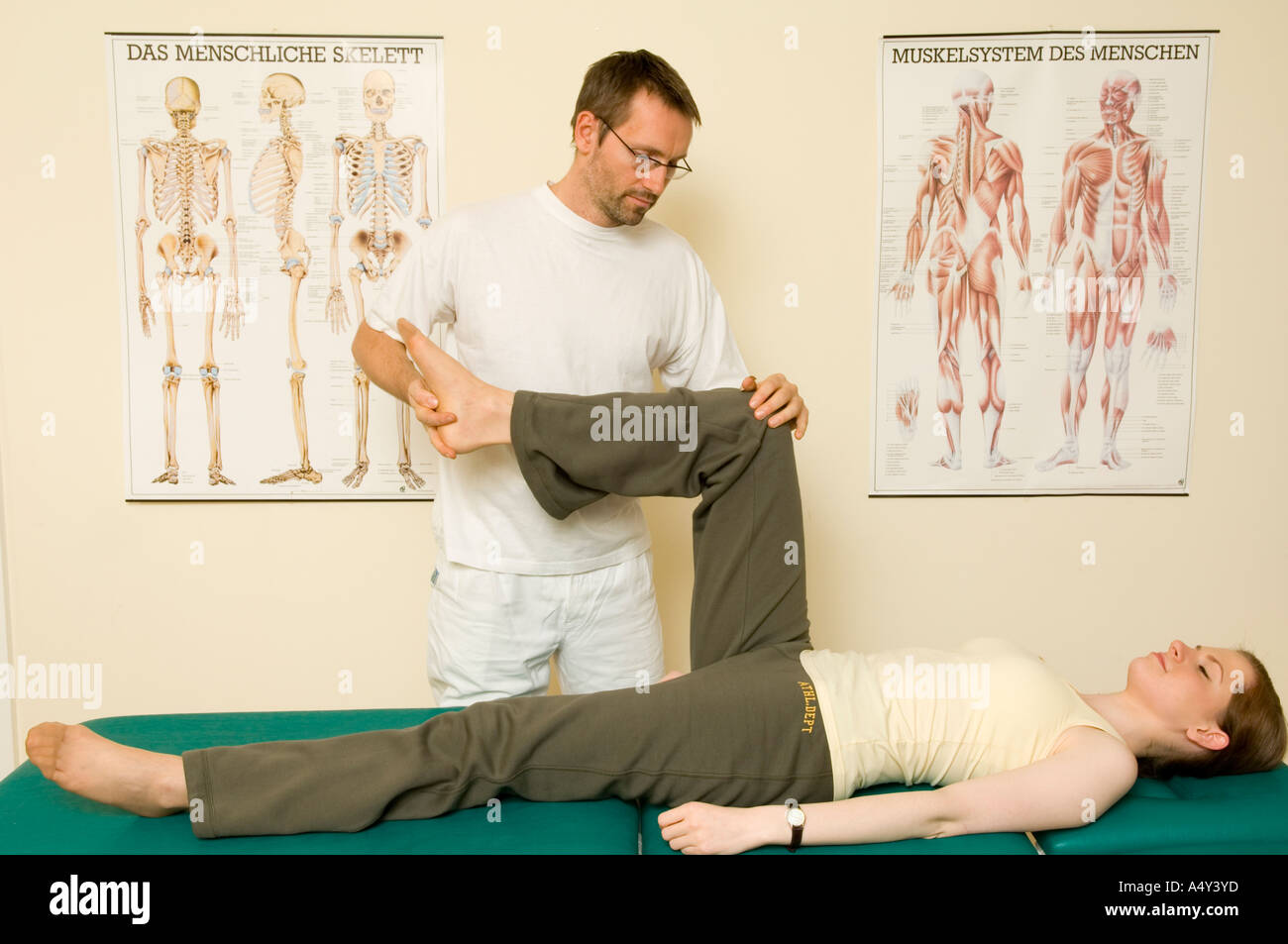 Musculoskeletal System High Resolution Stock Photography and Images - Alamy