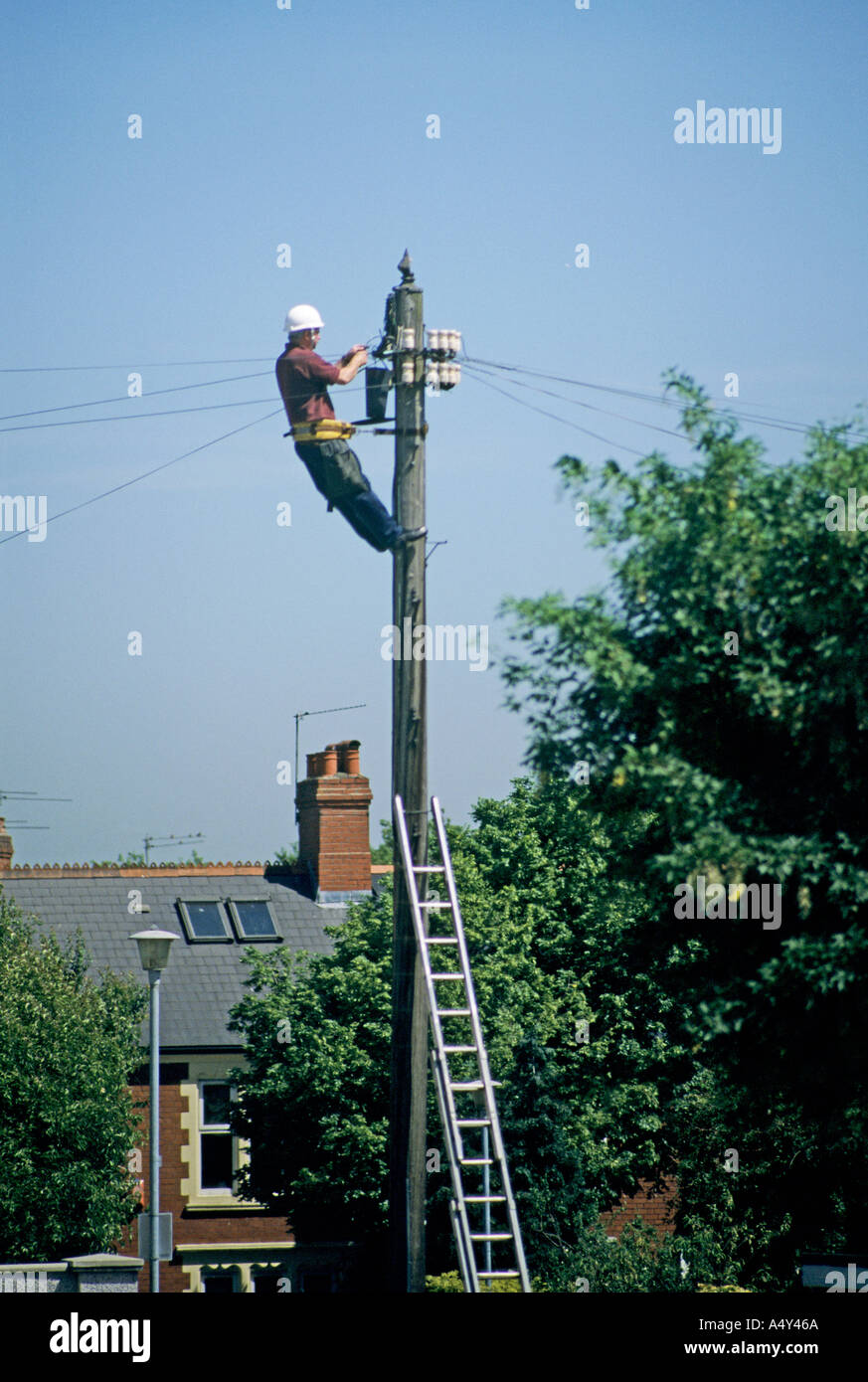Ladder and telegraph pole hi-res stock photography and images - Alamy