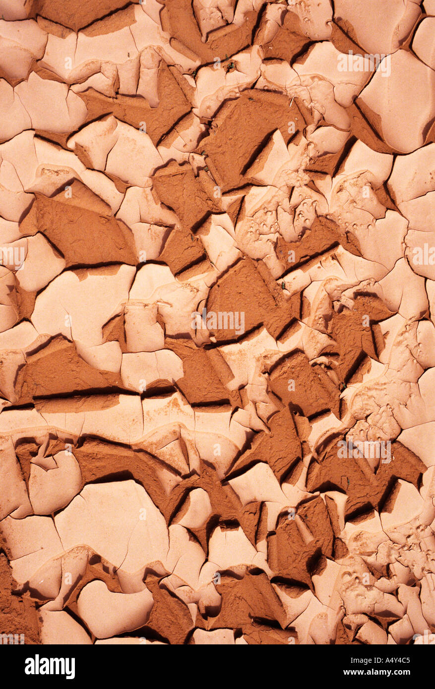 Patterns in mud Utah USA Stock Photo - Alamy