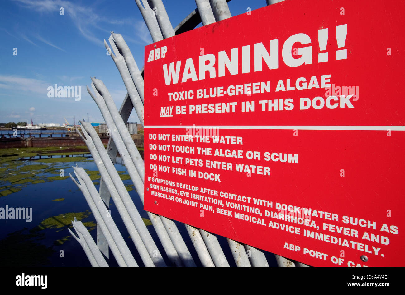 Unsafe water sign algae hi-res stock photography and images - Alamy