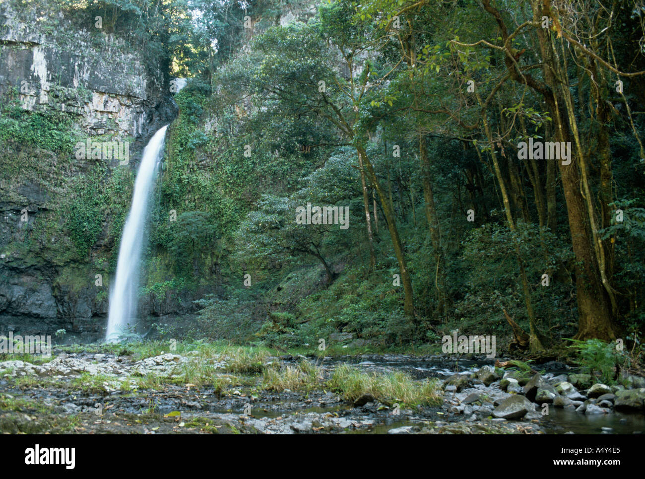 Waterfall in Barron Gorge national park Queensland Australia Stock ...