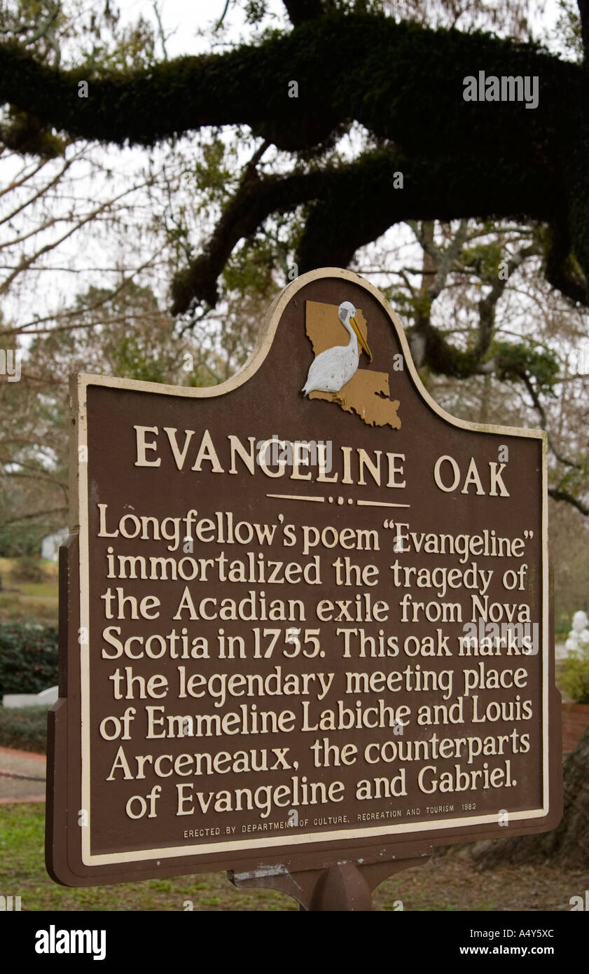 Evangeline Oak of Henry Wadsworth Longfellow poem St Martinville LA USA ...