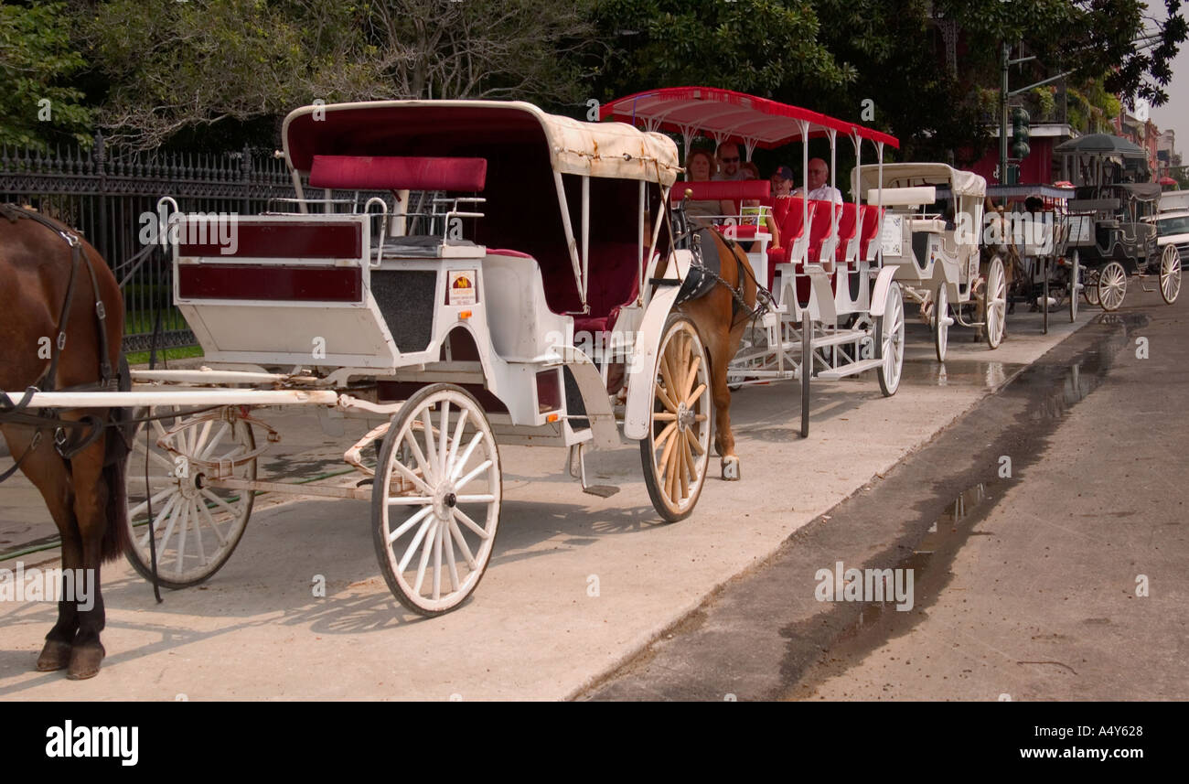 Horse-drawn carriages lined up to load tourists in the French Quarter ...
