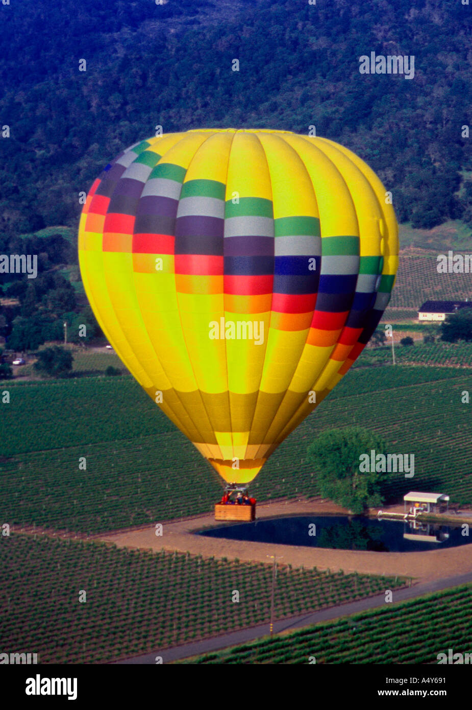 rising hot air balloon over Napa Valley California Stock Photo - Alamy