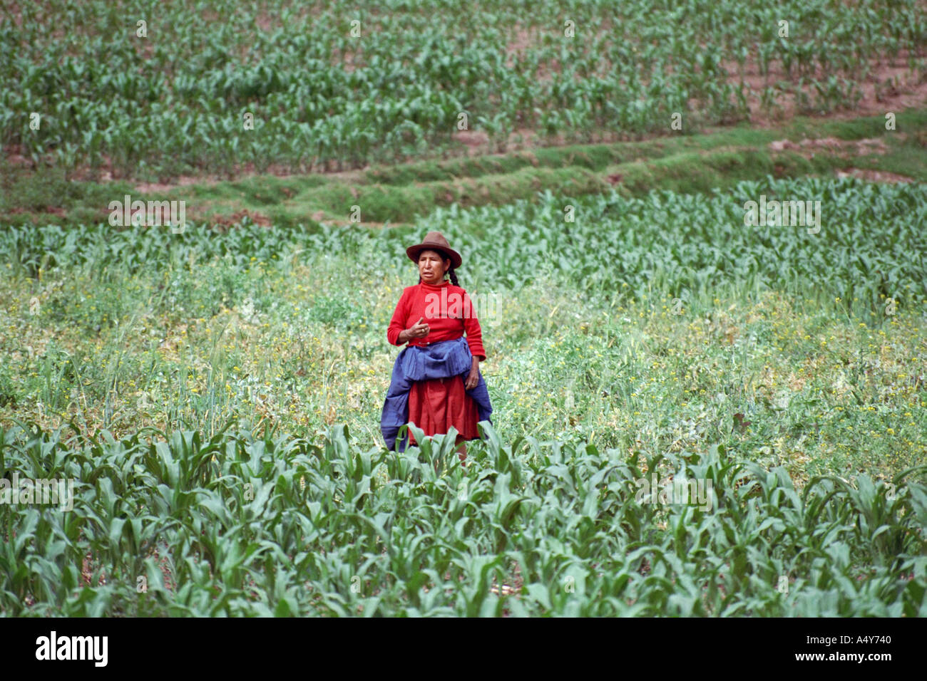 Woman farming south america hi-res stock photography and images - Alamy
