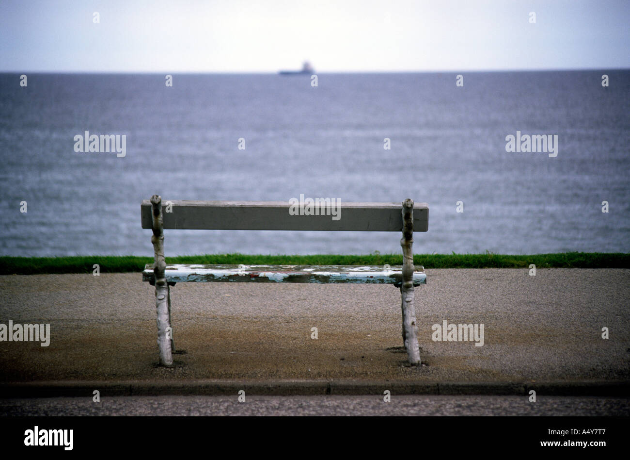 An empty wooden bench facing out to sea with a tanker ship on the ...