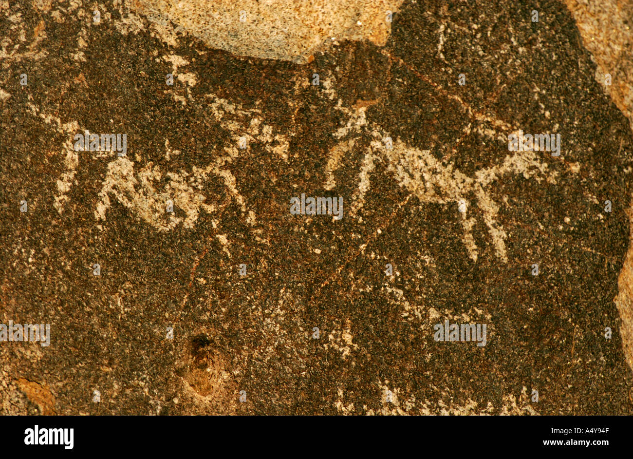 Hohokum Indian Rock Art Pictographs at Signal Hill area of Saguaro ...