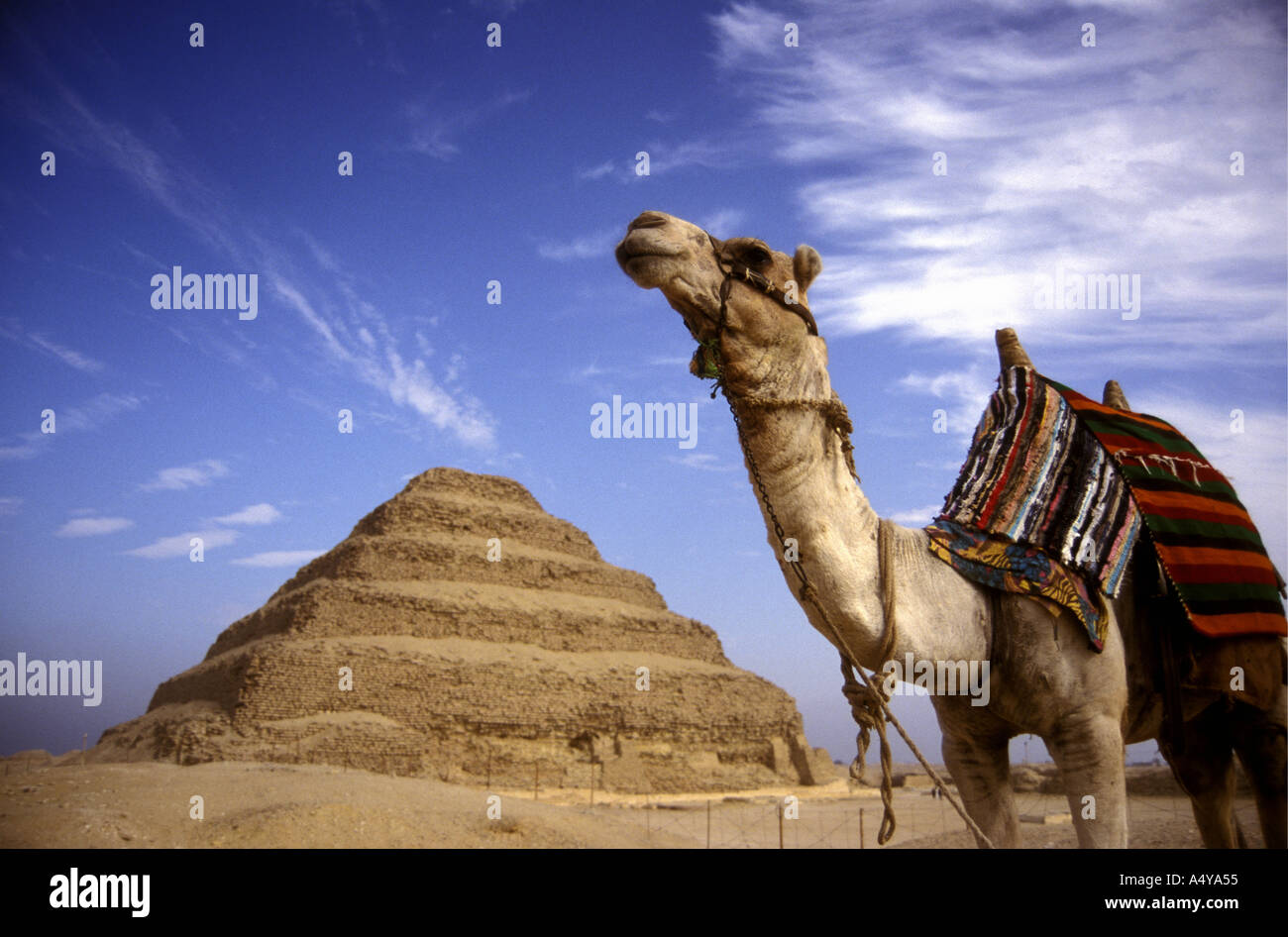 Sakkara hi-res stock photography and images - Alamy